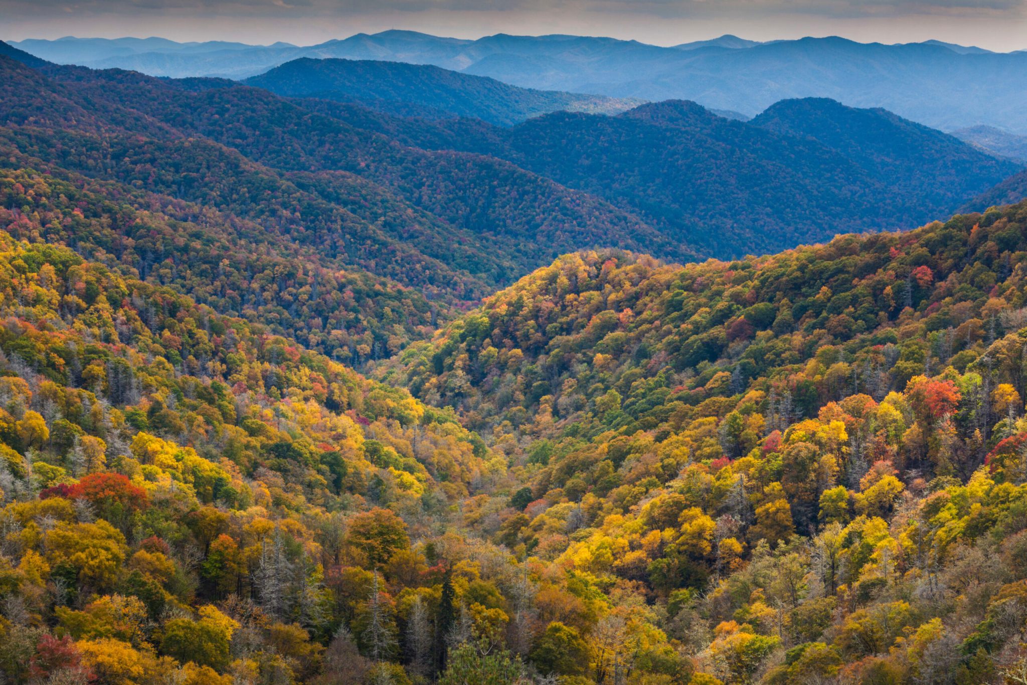 'Feral People' Feared To Live In U.S. National Park