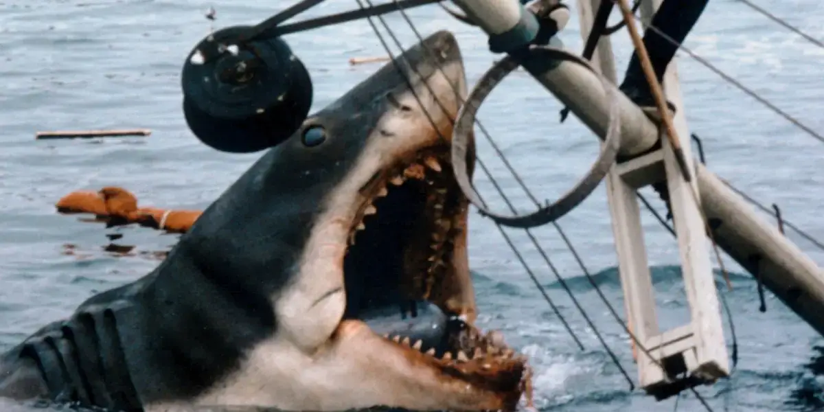 Paul Benchley Regretted Writing 'Jaws' After The Film's Success