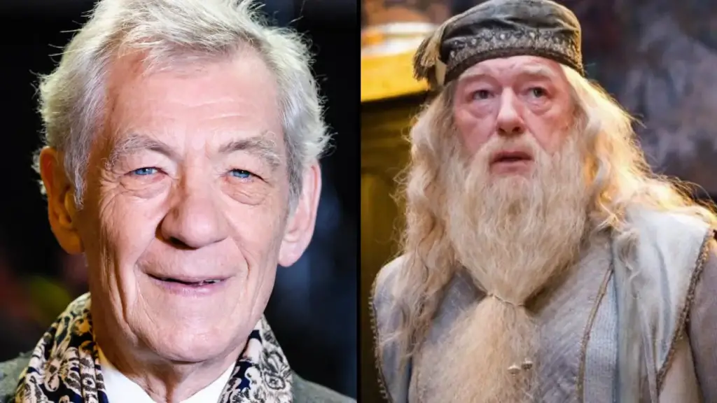 Why Ian McKellen Rejected The Role Of Albus Dumbledore In Harry Potter