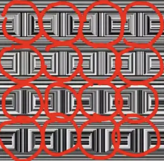 Whether You See Circles Or Squares Depends On Where You Grew Up