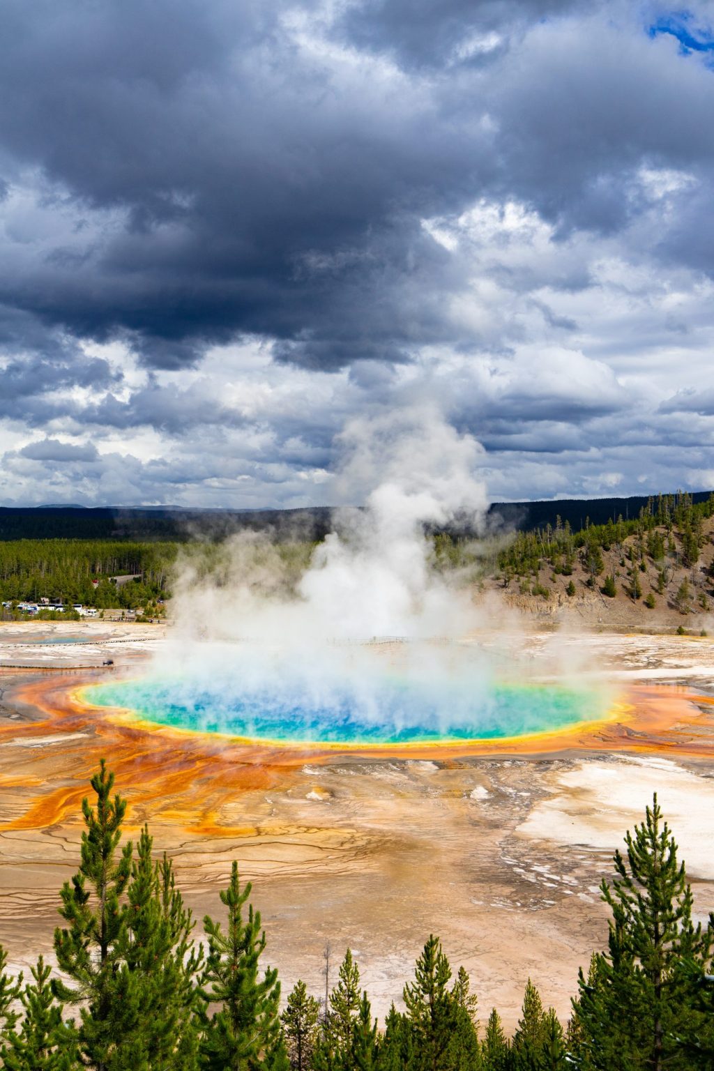 Yellowstone Bison Dies After Drowning In Boiling Spring