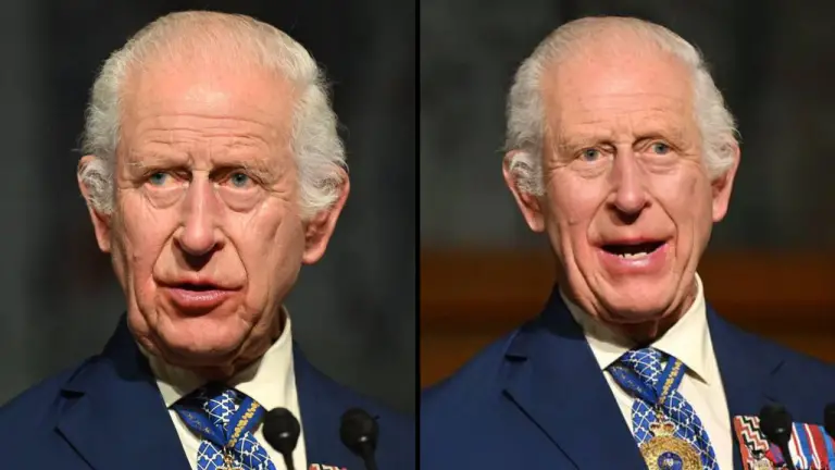 King Charles Addresses Nation With Urgent Warning